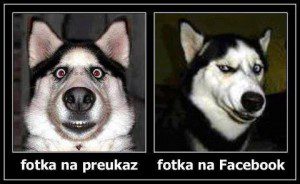 Fotka na průkaz vs fotka na Facebook | | FunGate.cz