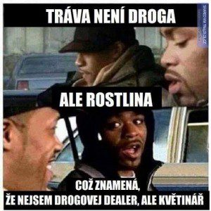 Tráva není droga, ale rostlina... | | FunGate.cz